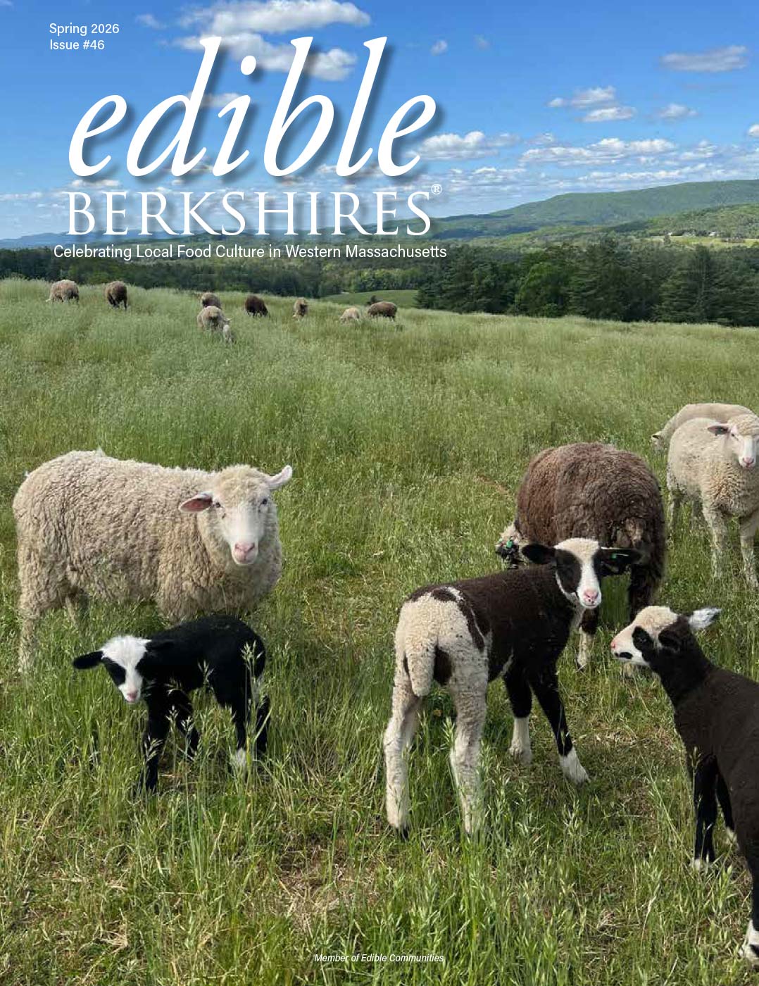 Welcome to Edible Berkshires - Edible Berkshires